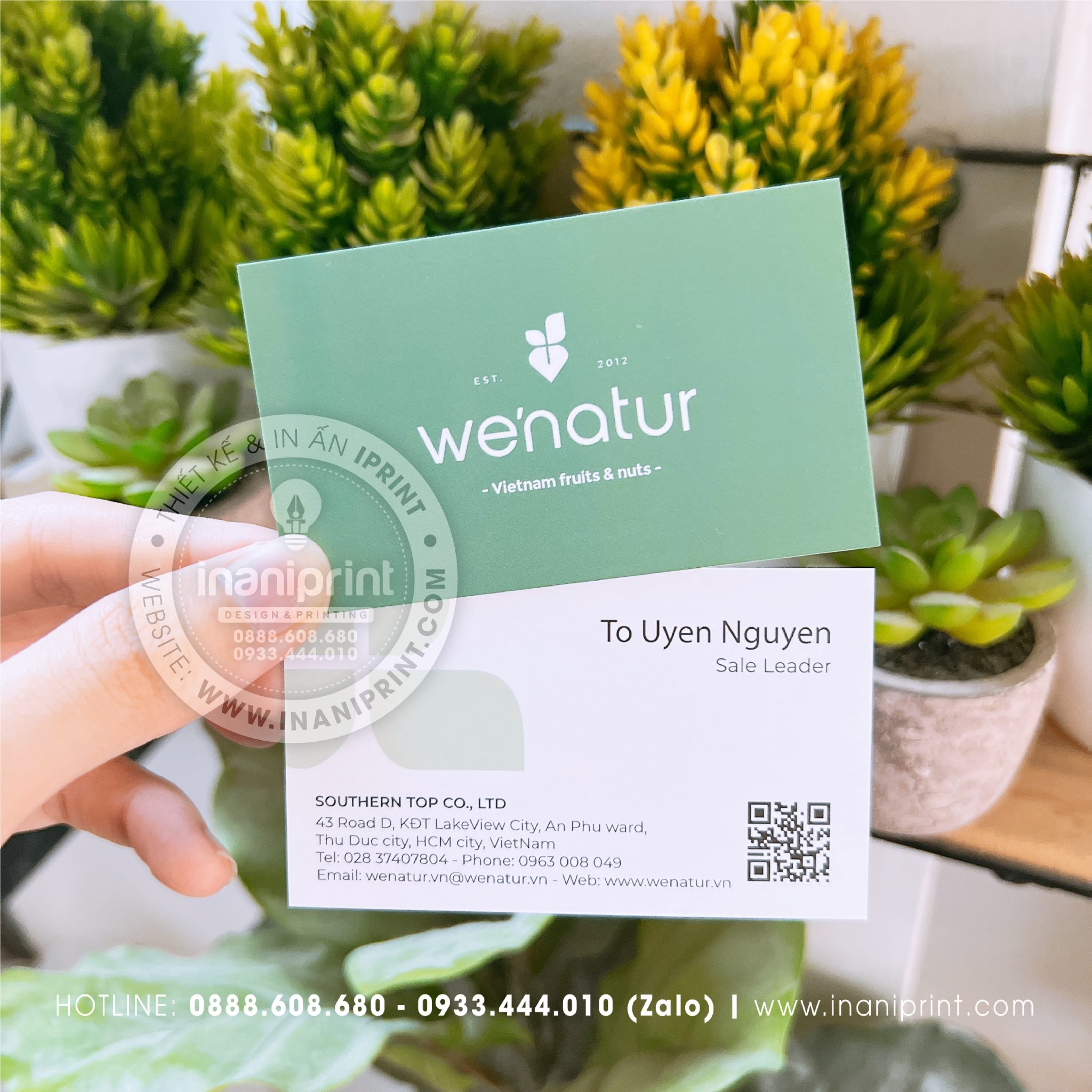 Mẫu Card Visit Công Ty Trái Cây Sấy Khô, Name Card Công Ty Trái Cây Sấy ...